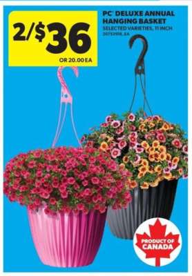 HANGING BASKET on sale • Starting at ️ $12.98